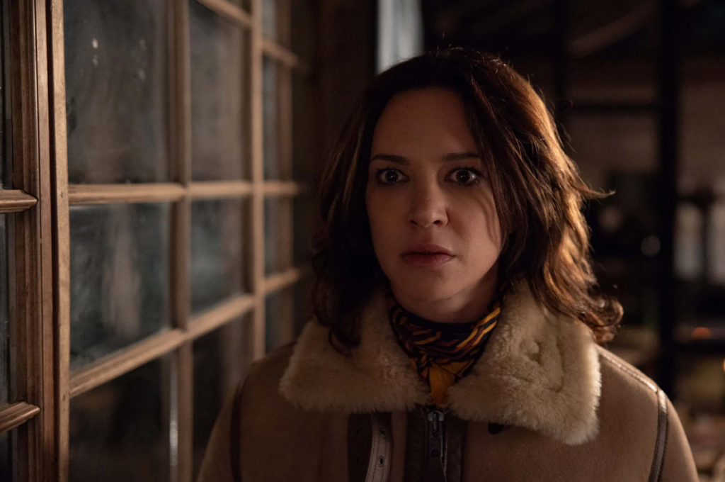 SEULE : LES DOSSIERS SILVERCLOUD : la critique du film